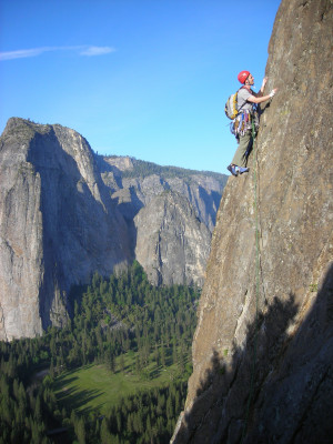 Rosh Review vs. Peer IX Vs Board Vitals| White Coat Investor