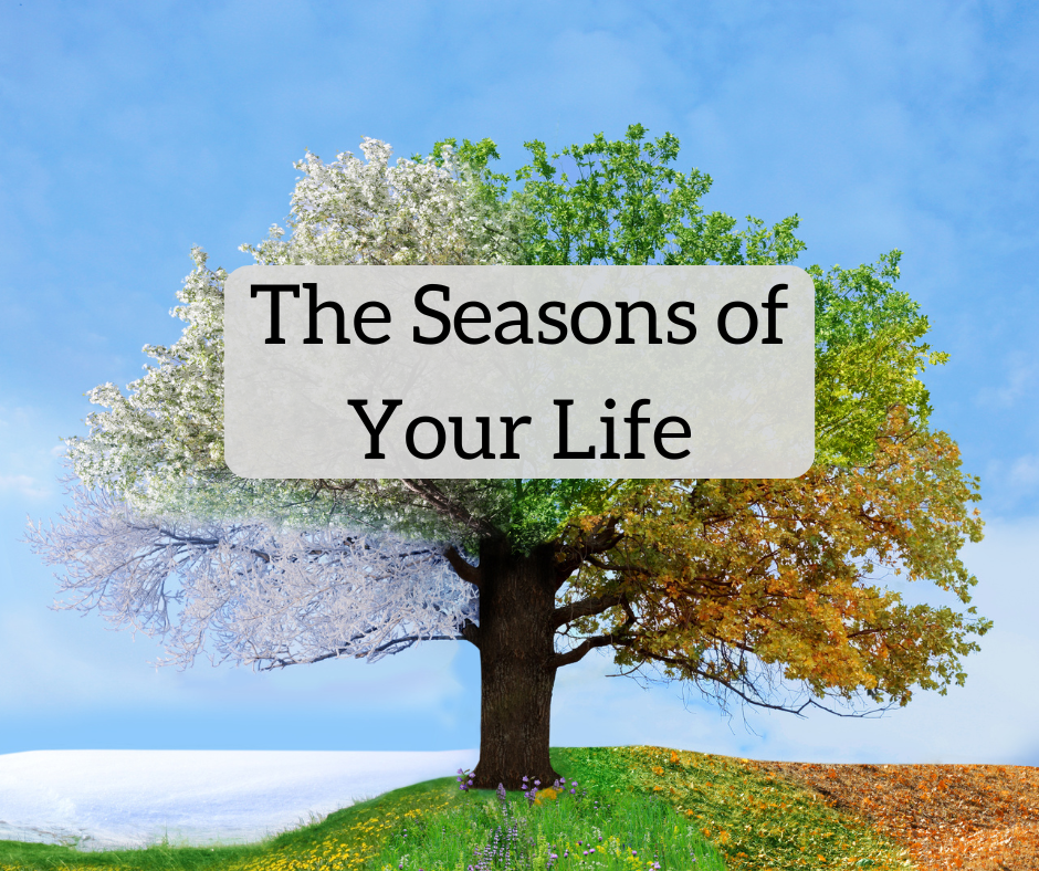 The Seasons of Your Life | White Coat Investor