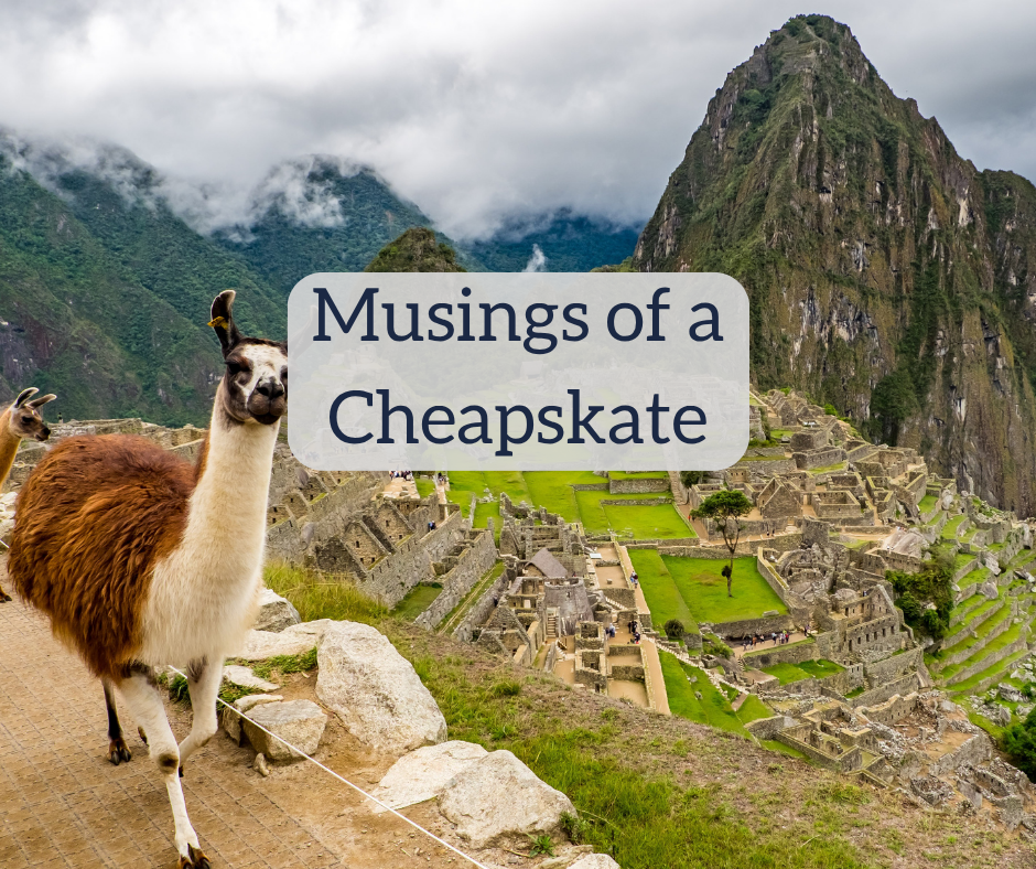 Musings of a Cheapskate | White Coat Investor