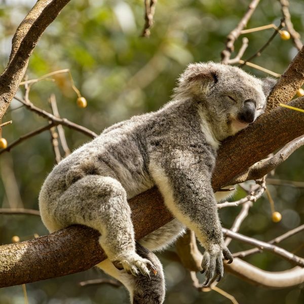 What’s Your 'Sleep Well’ Number? Lessons from a Market Boom, the Tariff ...